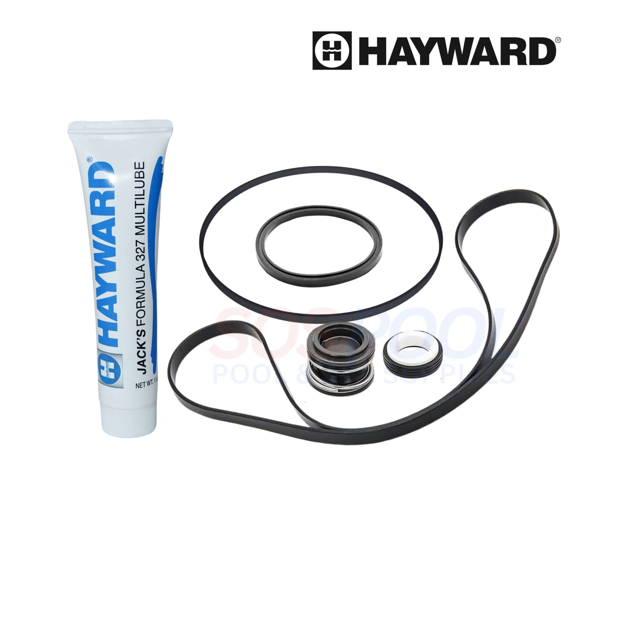 Hayward Quick Fix Kit For Max-Flo Pumps | SPXHKIT1