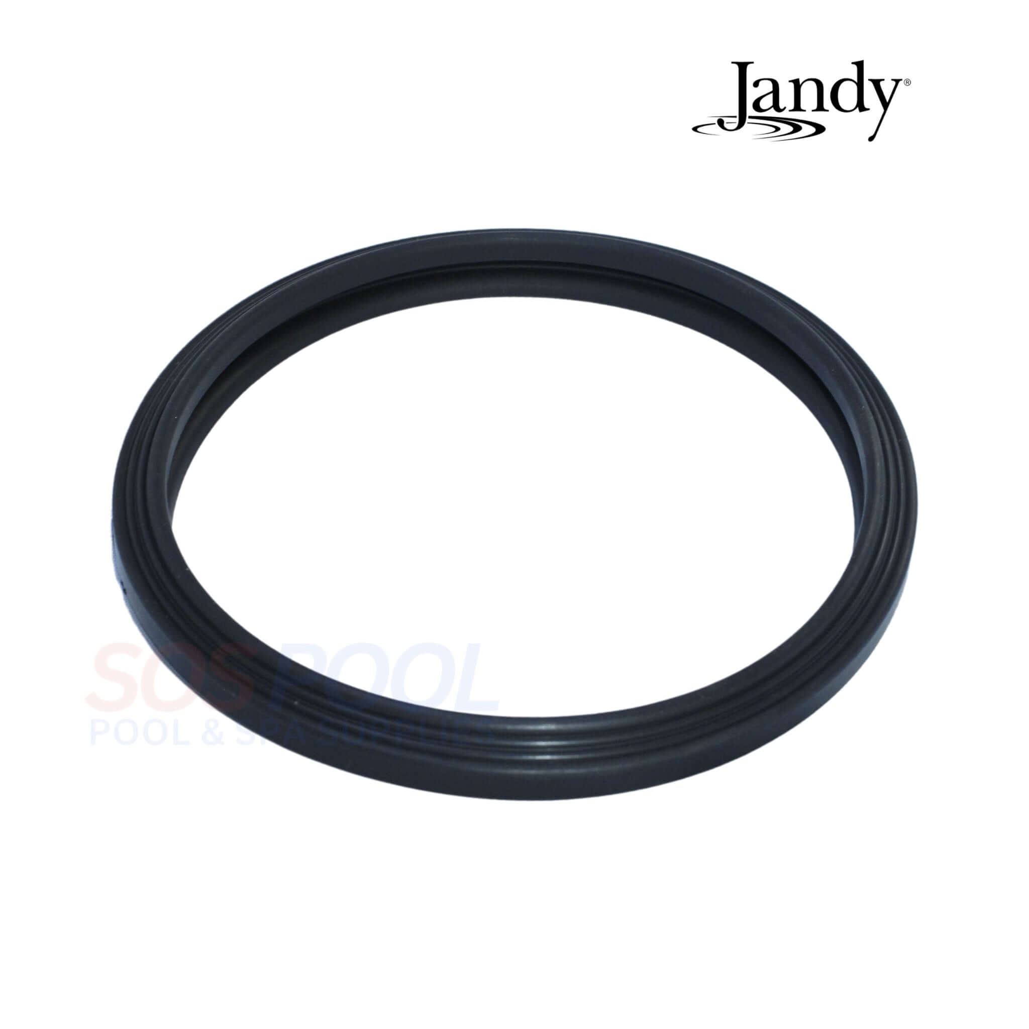 Jandy Pool Light Lens Gasket | R0451101 | R0790500