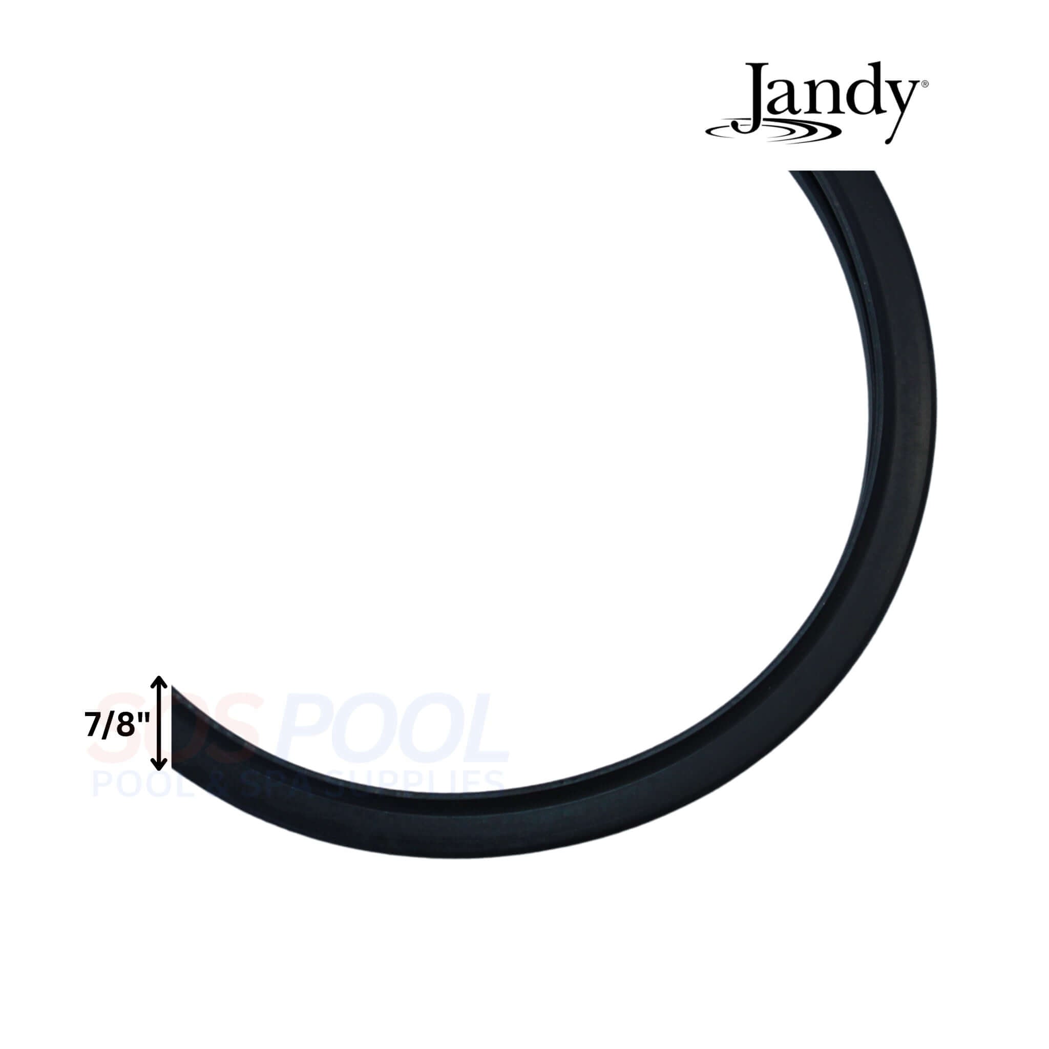 Jandy Pool Light Lens Gasket | R0451101 | R0790500