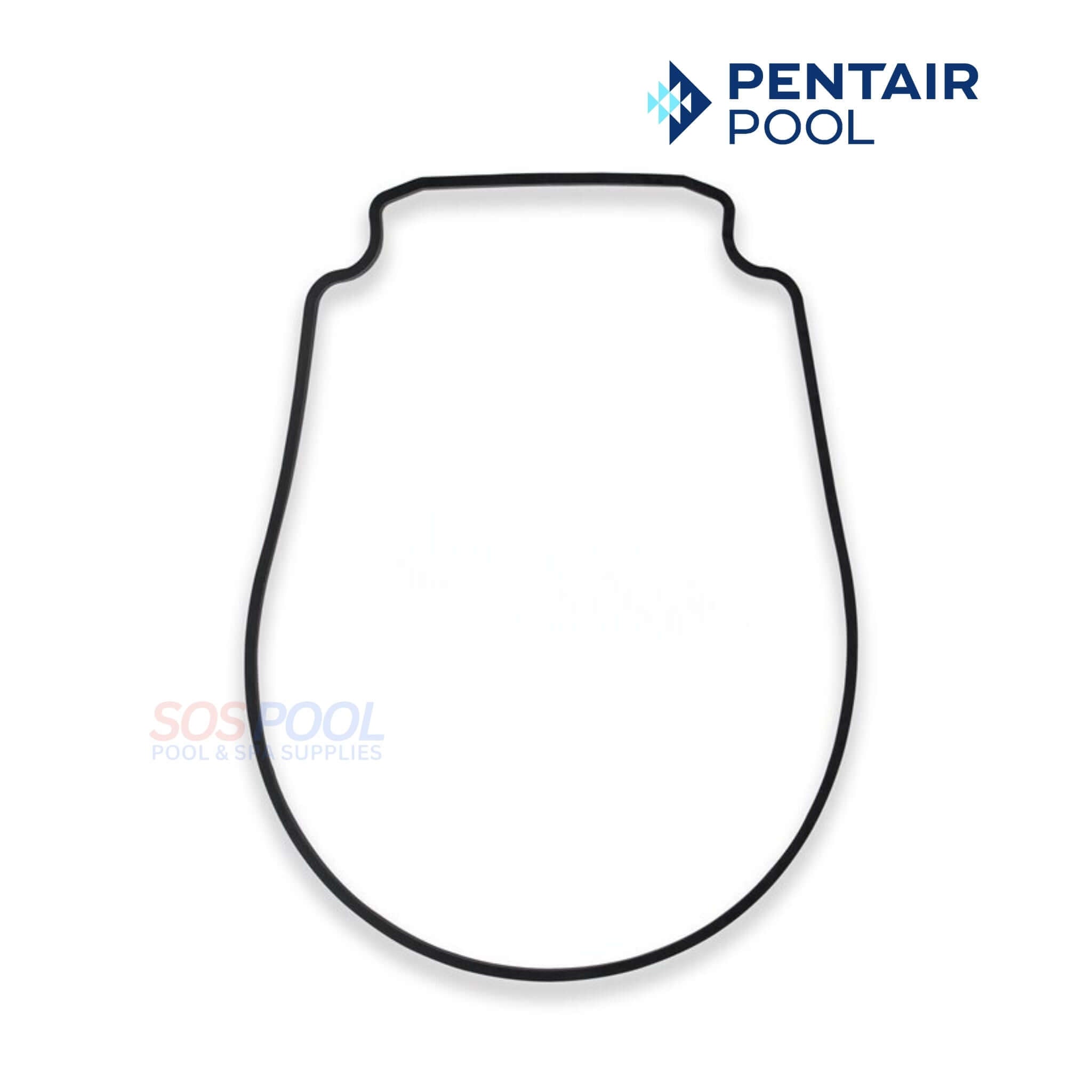 Pentair Seal Plate Gasket For Whisperflo And Intelliflo Pump | Black