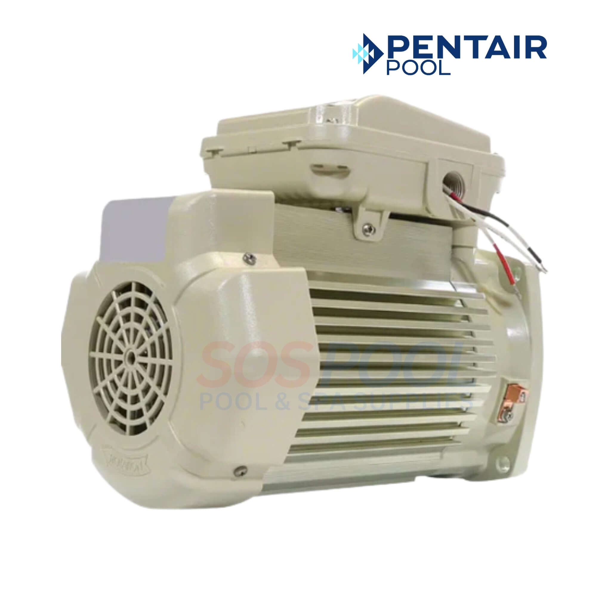 Pentair WhisperFlo 3/4HP Single Speed TEFC Motor | 56Y | 354803S